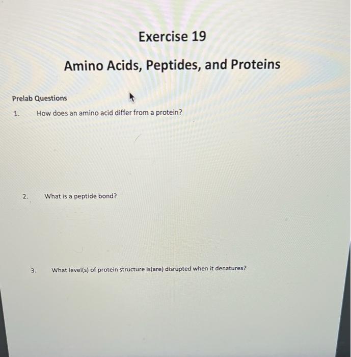 Solved Exercise 19 Amino Acids, Peptides, and Proteins | Chegg.com