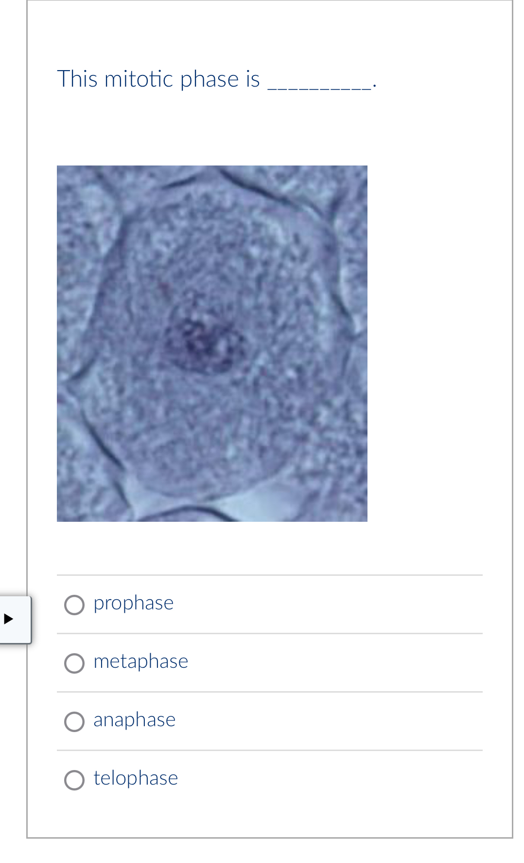 Solved This mitotic phase | Chegg.com