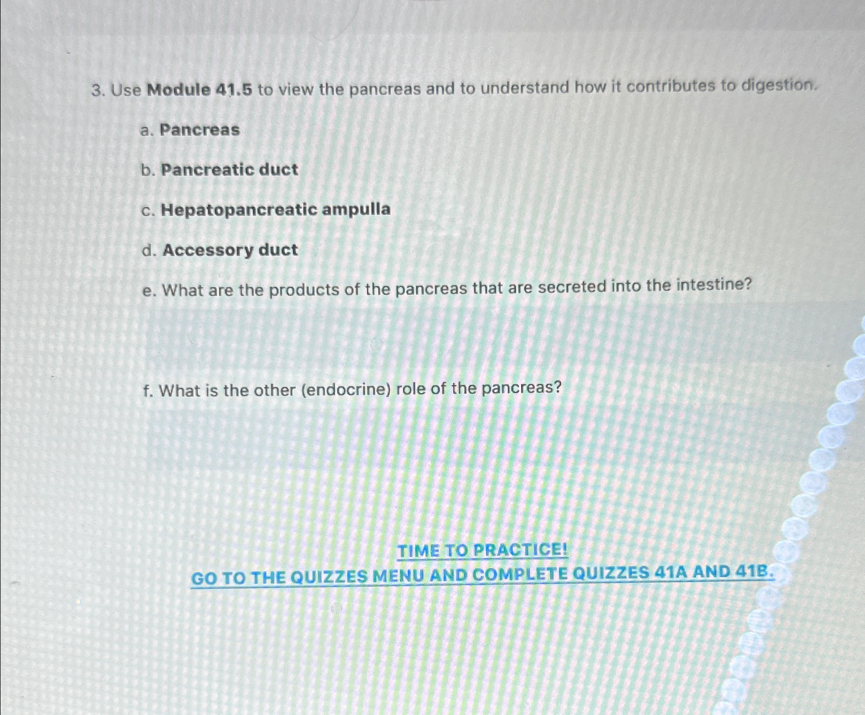 Solved Use Module 41.5 ﻿to view the pancreas and to | Chegg.com