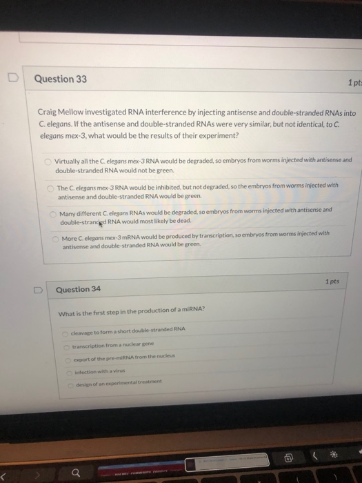 Solved Fire and Mello studied the effect of RNAs made from | Chegg.com