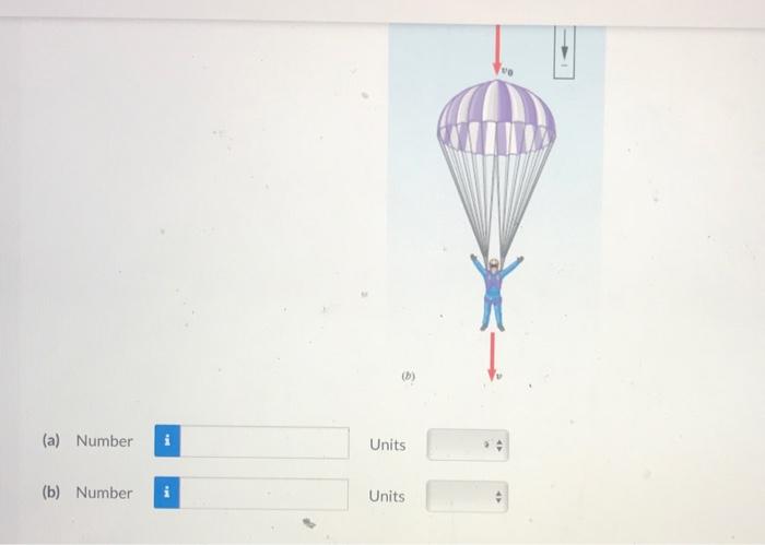 Solved A skydiver is falling straight down, along the | Chegg.com