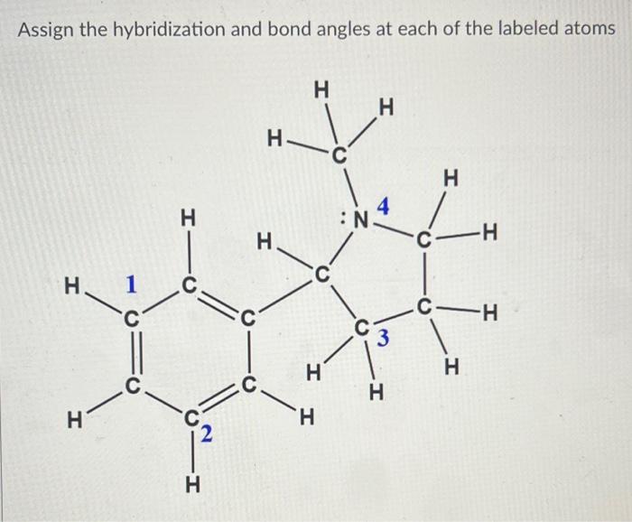 Solved Assign the hybridization and bond angles at each of | Chegg.com