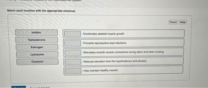 Solved Match each function with the appropriate chemical. | Chegg.com