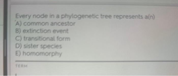 Solved Every node in a phylogenetic tree represents a(n) A) | Chegg.com