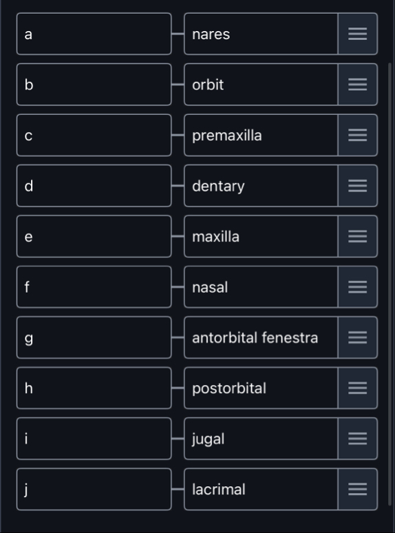 Solved Match each label on the skull to the correct bone or | Chegg.com