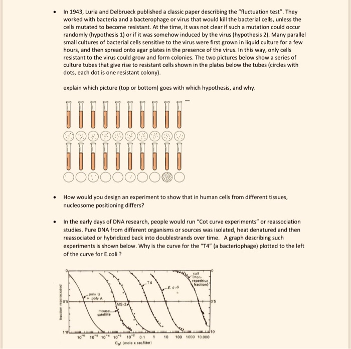 Solved In 1943, Luria and Delbrueck published a classic | Chegg.com