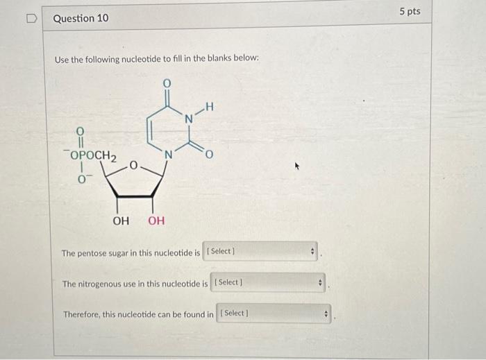 Solved Use the following nucleotide to fill in the blanks | Chegg.com