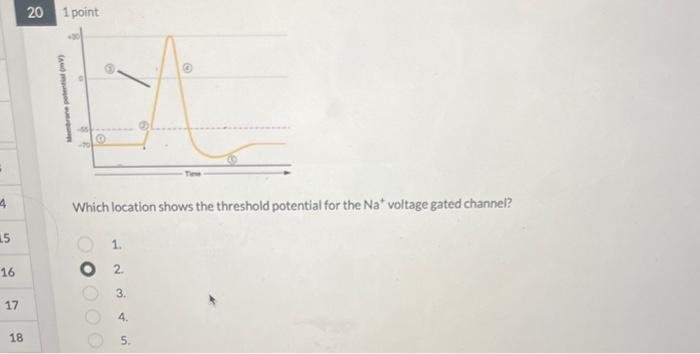 Solved Which location shows the threshold potential for the | Chegg.com