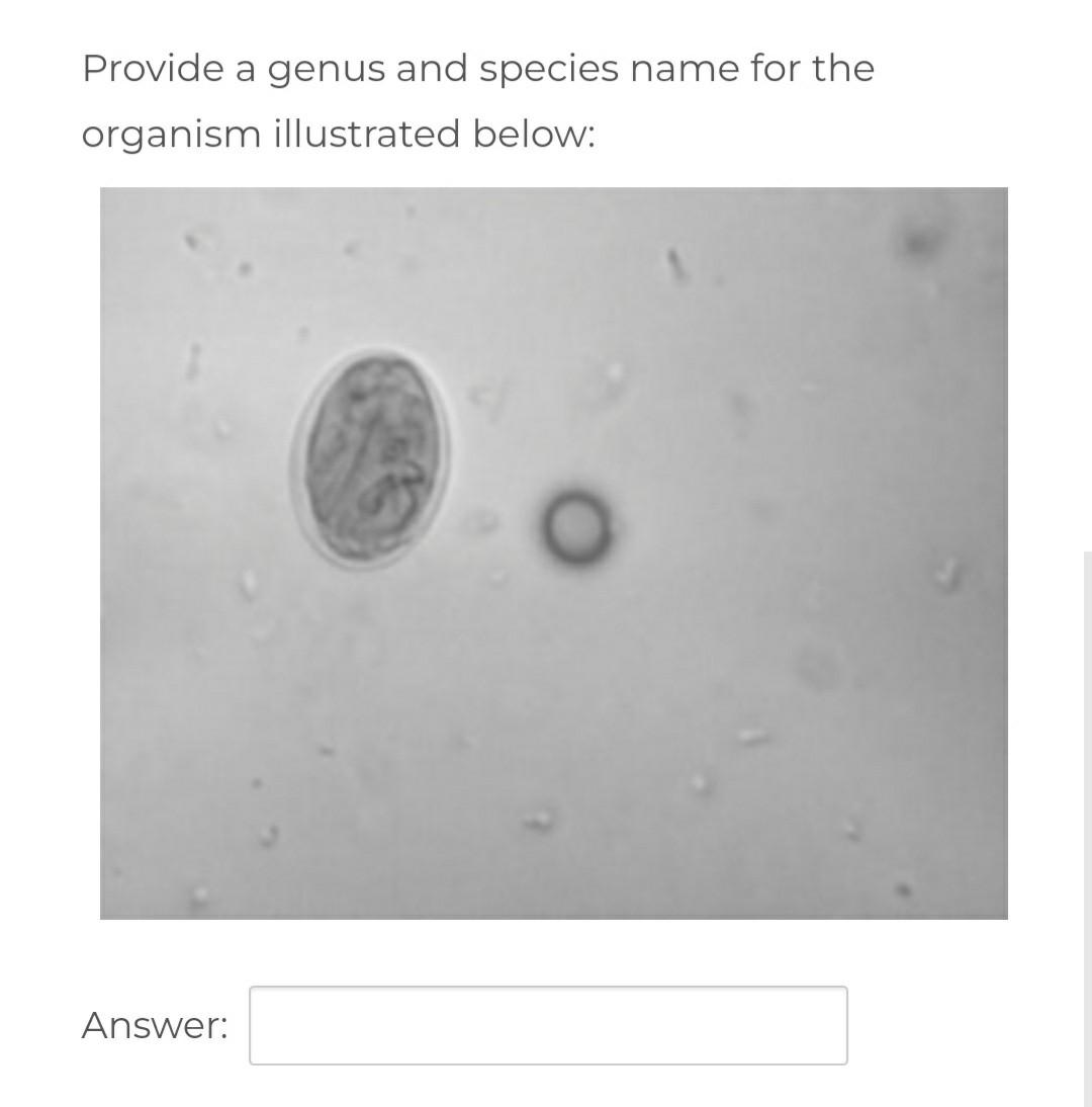 Solved Provide the genus and species name of the organism | Chegg.com