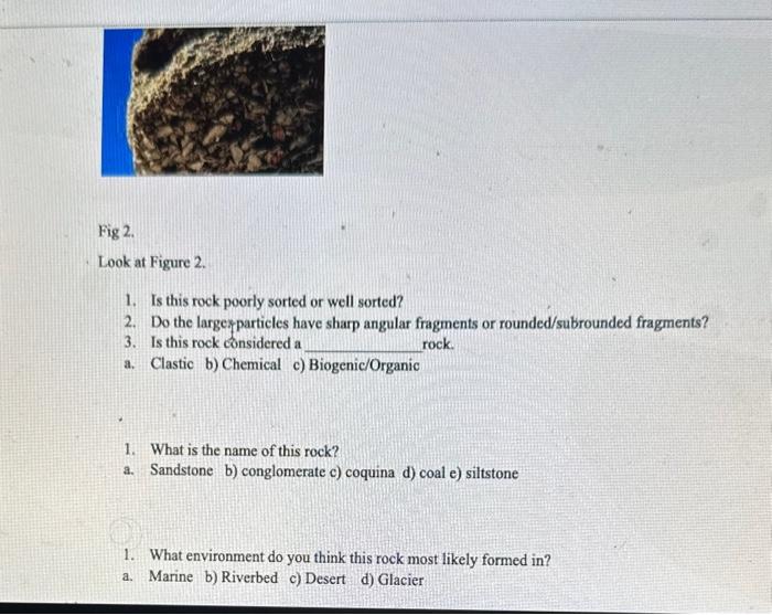 Solved Fig 2. Look at Figure 2. 1. Is this rock poorly | Chegg.com