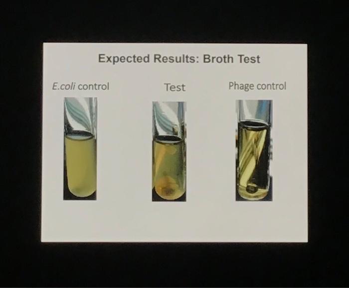 Solved Qualitative Tests Broth Test Record your observations | Chegg.com