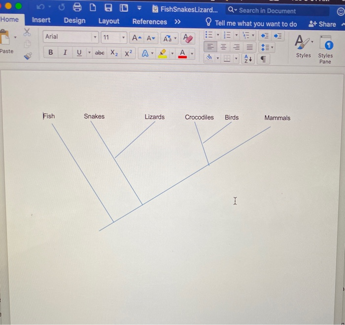 Question 1 25 points Save I have drawn a cladogram | Chegg.com