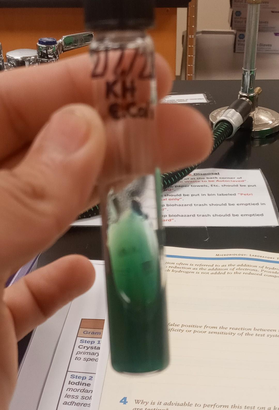 Solved OBSERVATIONS AND INTERPRETATIONS Using Table 5-8 as a | Chegg.com