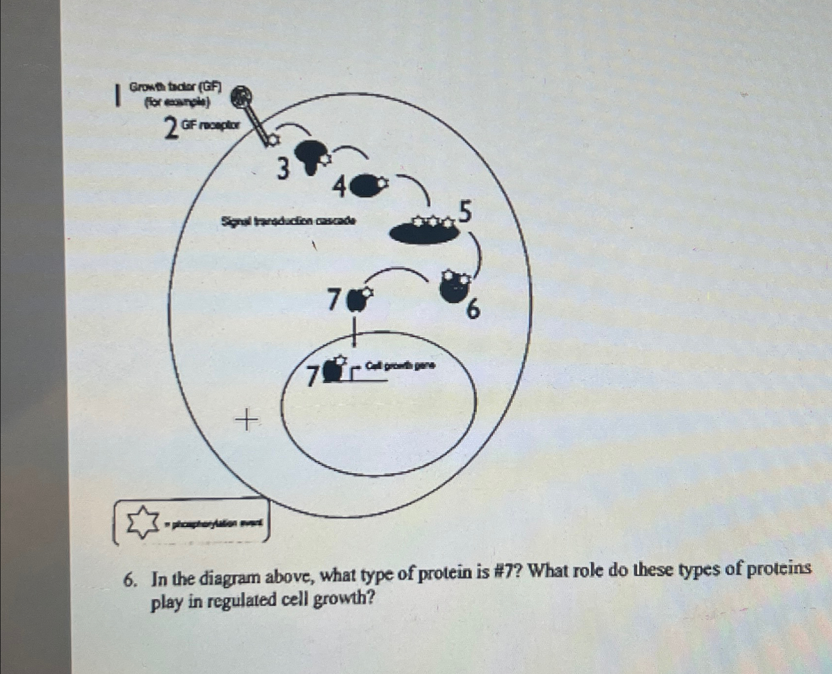 Solved In the diagram above, what type of protein is #7? | Chegg.com