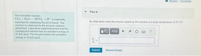 Solved The reversible reaction CO2+H2O=HCO3−+H+is especially | Chegg.com