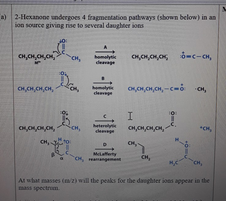Solved a) 2-Hexanone undergoes 4 fragmentation pathways | Chegg.com