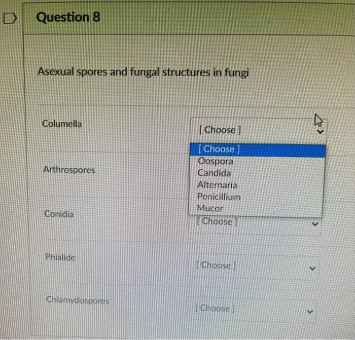 Solved Question 8 Asexual spores and fungal structures in | Chegg.com