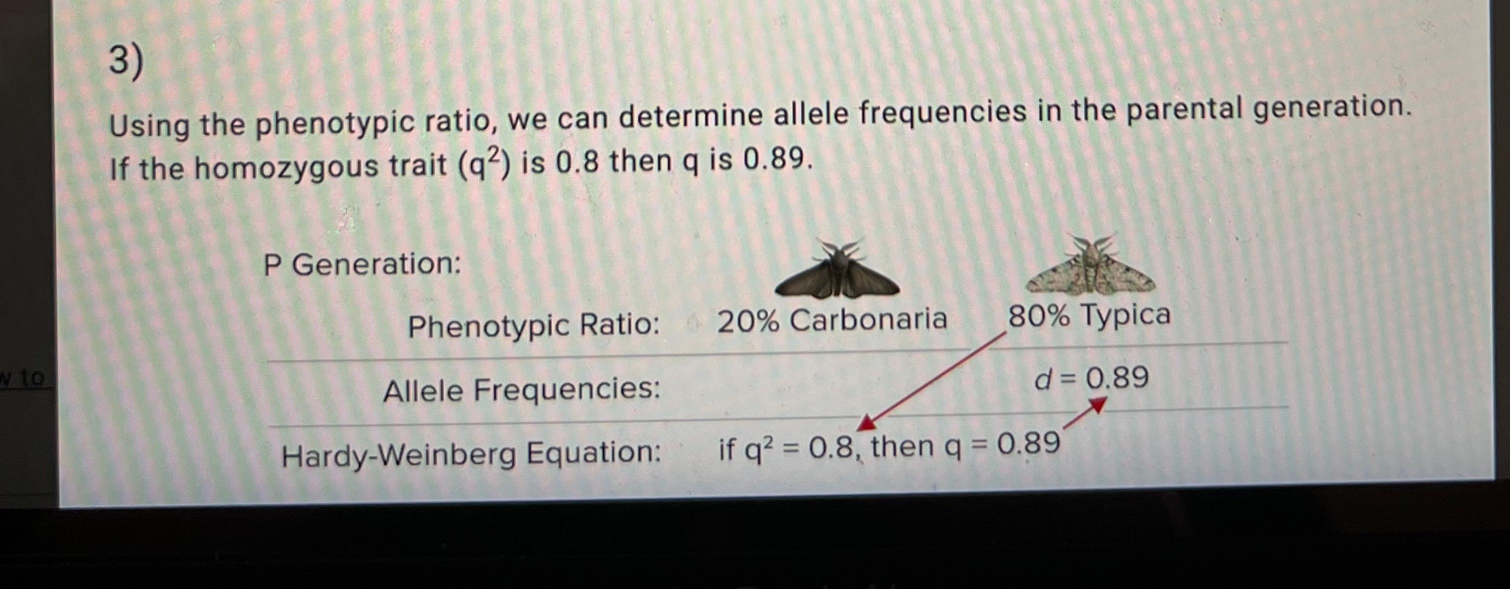 Solved Using the phenotypic ratio, we can determine allele | Chegg.com