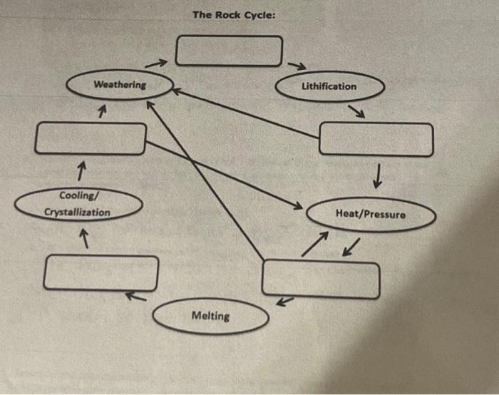 Solved The Rock Cycle: | Chegg.com