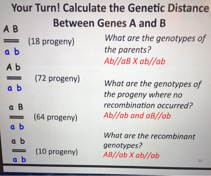 Solved ab :1: Your Turn! Calculate the Genetic Distance AB | Chegg.com