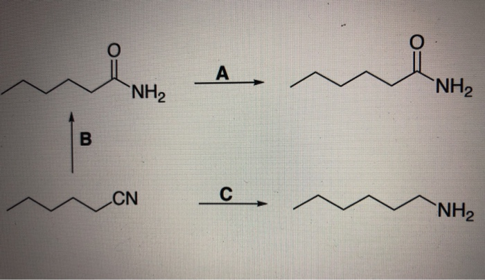 Solved NH2 CN M NH2 | Chegg.com