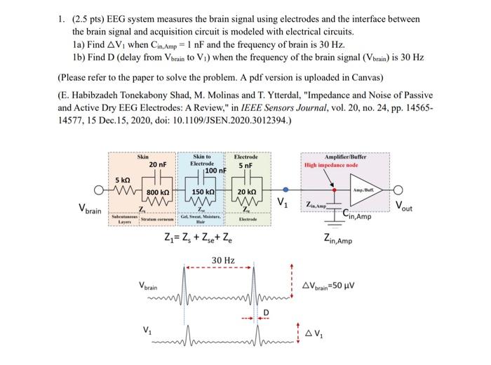 1. ( 2.5pts) EEG system measures the brain signal | Chegg.com