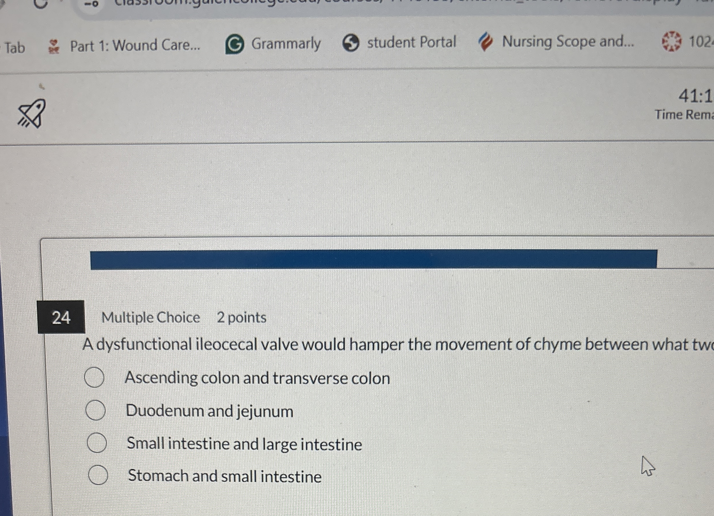 Solved TabPart 1: Wound Care...Grammarlystudent | Chegg.com
