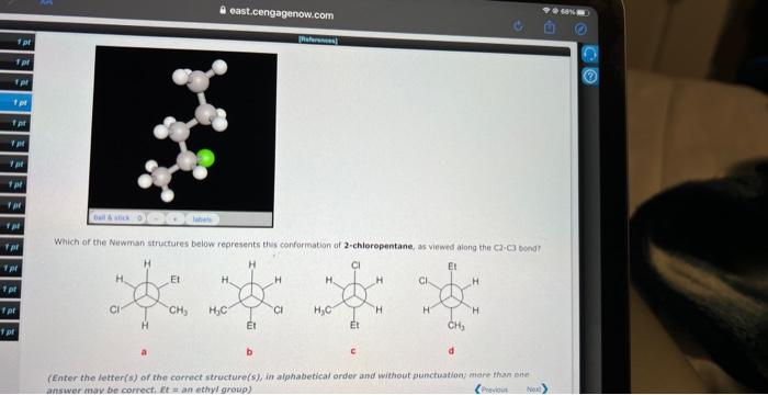 Solved Which of the Newman structures below represents this | Chegg.com