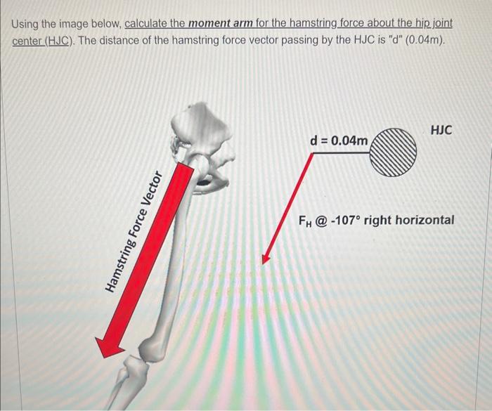 Solved Using the image below, calculate the moment arm for | Chegg.com