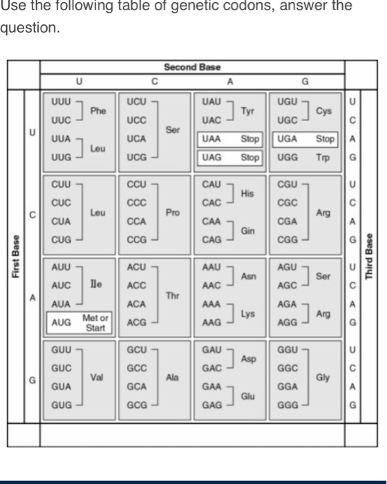 Solved Use the following table of genetic codons, answer the | Chegg.com