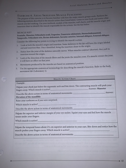 Solved Axial skeleton ones and Muscles EXERCISE 6. AXIAL | Chegg.com