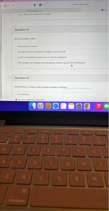 Qa:07 in lymeth noses Question 11 0.36 When a breph | Chegg.com