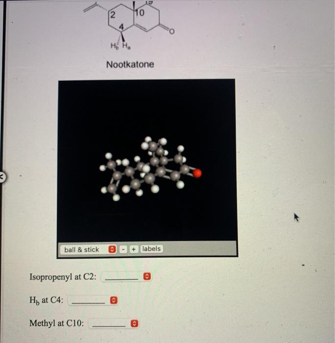 Solved Nootkatone is responsible for the characteristic | Chegg.com