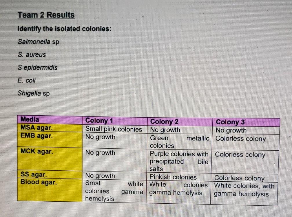 Solved Team 2 Results Identify the isolated colonies: | Chegg.com