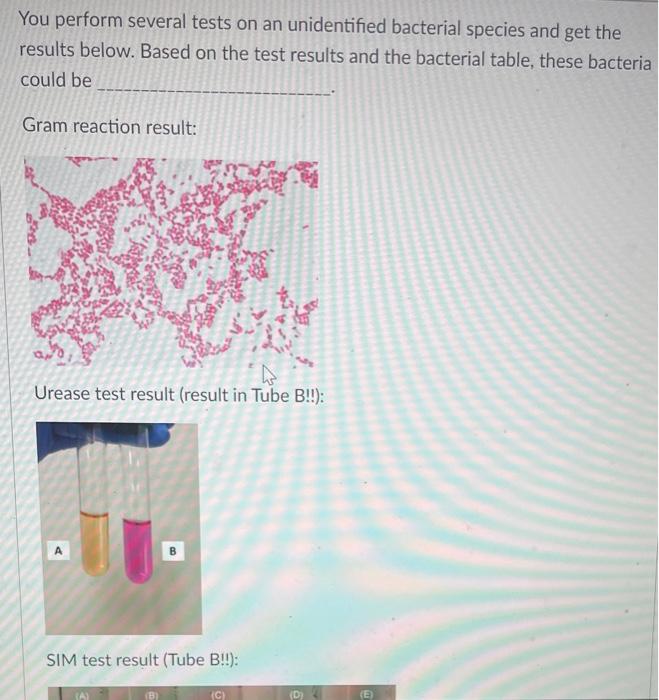 Solved You perform several tests on an unidentified | Chegg.com
