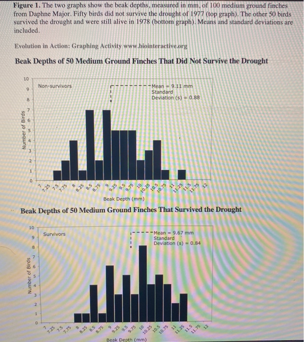 Solved Figure 1. The two graphs show the beak depths, | Chegg.com