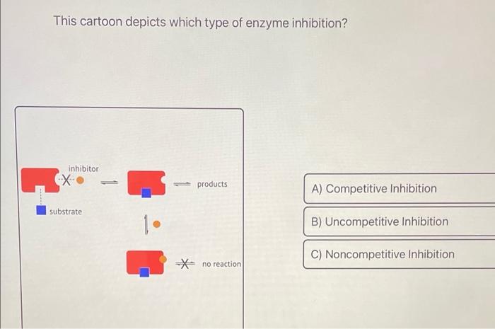 Solved This cartoon depicts which type of enzyme inhibition? | Chegg.com