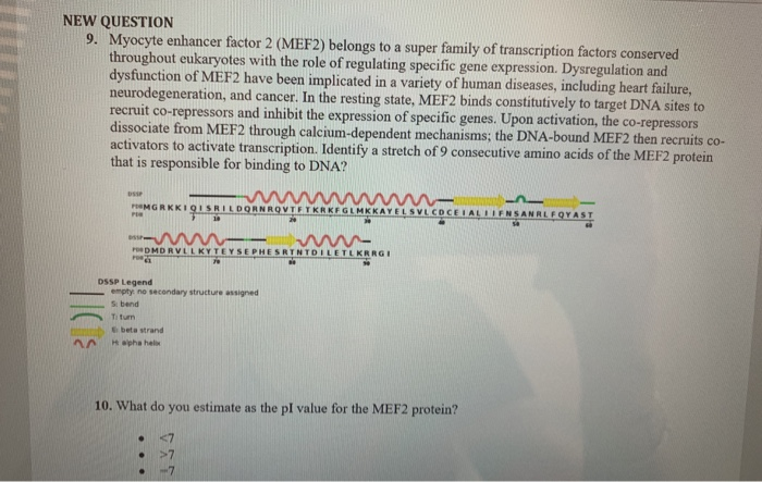 Solved NEW QUESTION 9. Myocyte enhancer factor 2 (MEF2) | Chegg.com