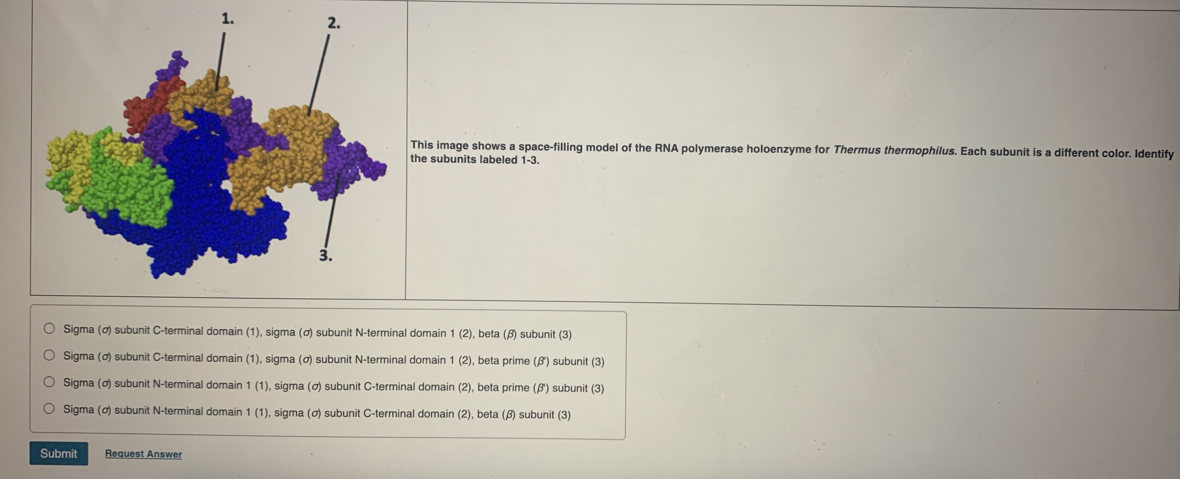 Solved the subunits labeled 1-3.Sigma ( σ ) ﻿subunit | Chegg.com