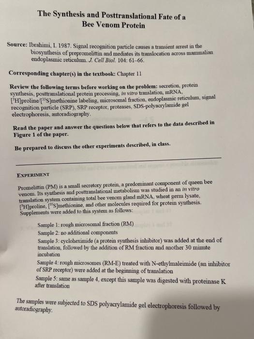 The Synthesis and Posttranslational Fate of a Bee | Chegg.com