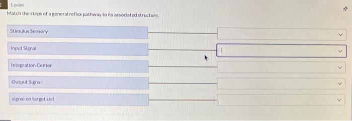 Solved 1 point Match the steps of a general reflex pathway | Chegg.com