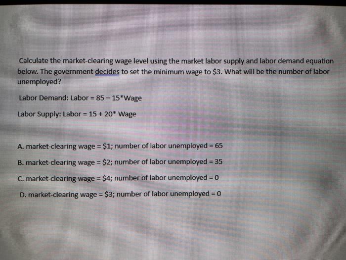 Solved Calculate the market-clearing wage level using the | Chegg.com