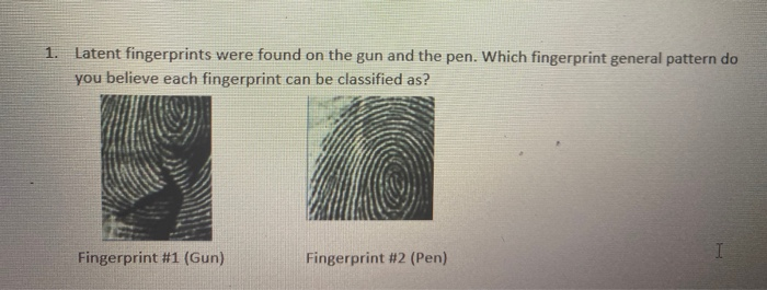 Solved 1. Latent fingerprints were found on the gun and the | Chegg.com