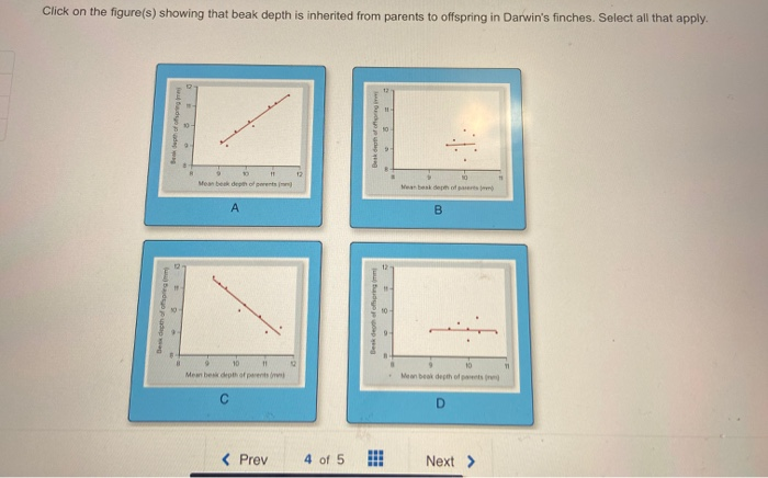 Solved Click on the figure(s) showing that beak depth is | Chegg.com