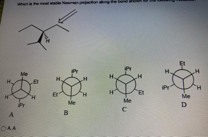 Solved Which is the most stable Newman projection along the | Chegg.com