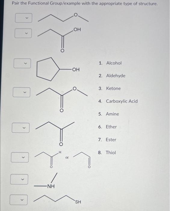 Solved Pair the Functional Group/example with the | Chegg.com