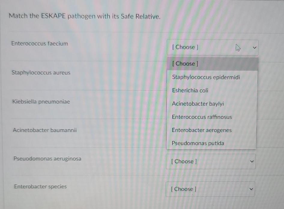 Solved Match the ESKAPE pathogen with its Safe Relative. | Chegg.com