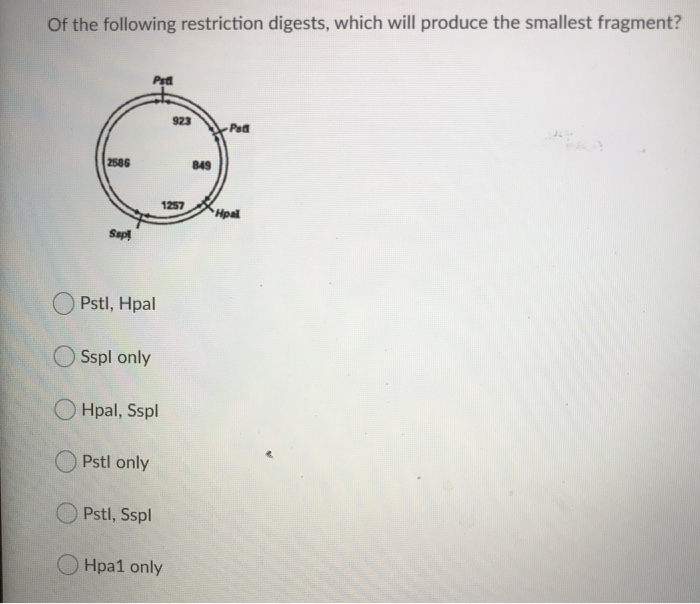 Solved Of the following restriction digests, which will | Chegg.com
