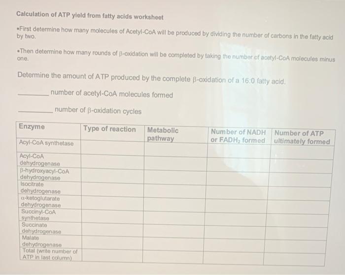 Solved Calculation of ATP yield from fatty acids worksheet | Chegg.com