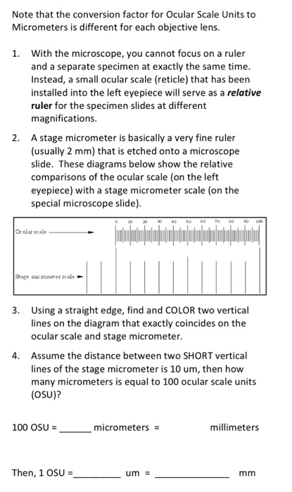Solved Note that the conversion factor for Ocular Scale | Chegg.com